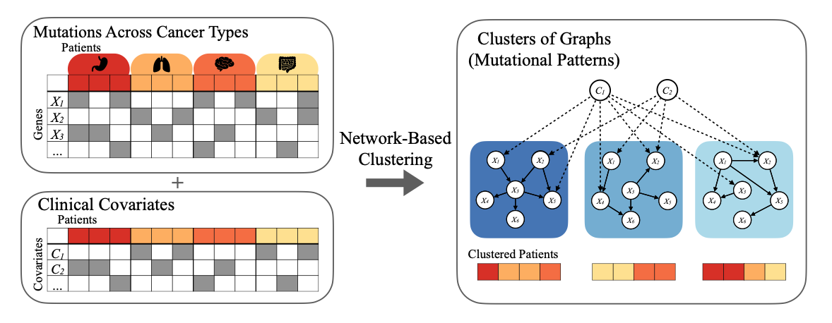 GitHub - cbg-ethz/graphClust_NeurIPS: Network-Based Clustering of Pan-Cancer Data Accounting for ...