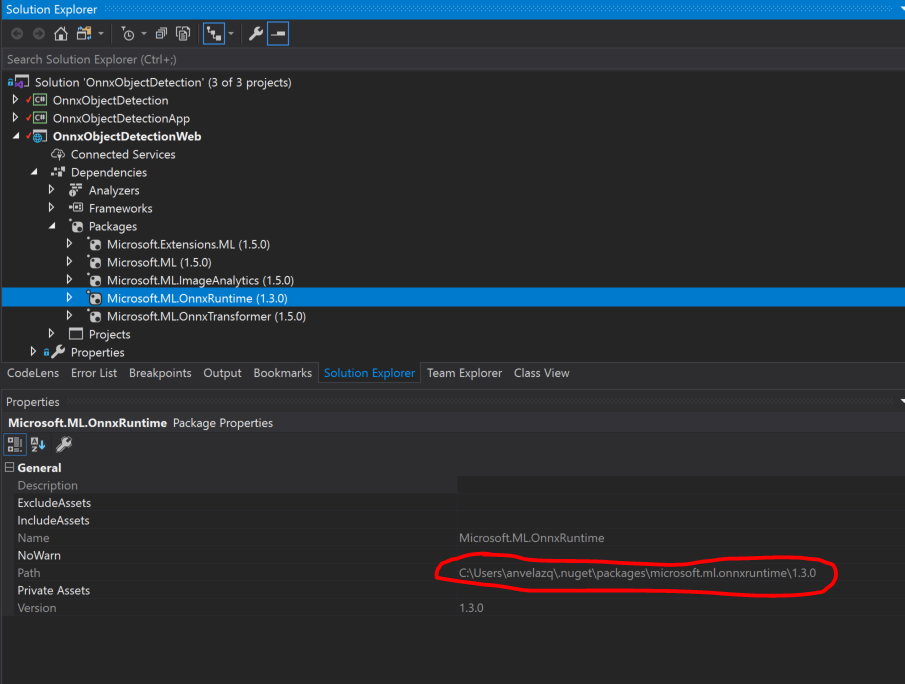 Using OnnxTransformer throws TypeInitializationException · Issue #5262 · dotnet/machinelearning ...