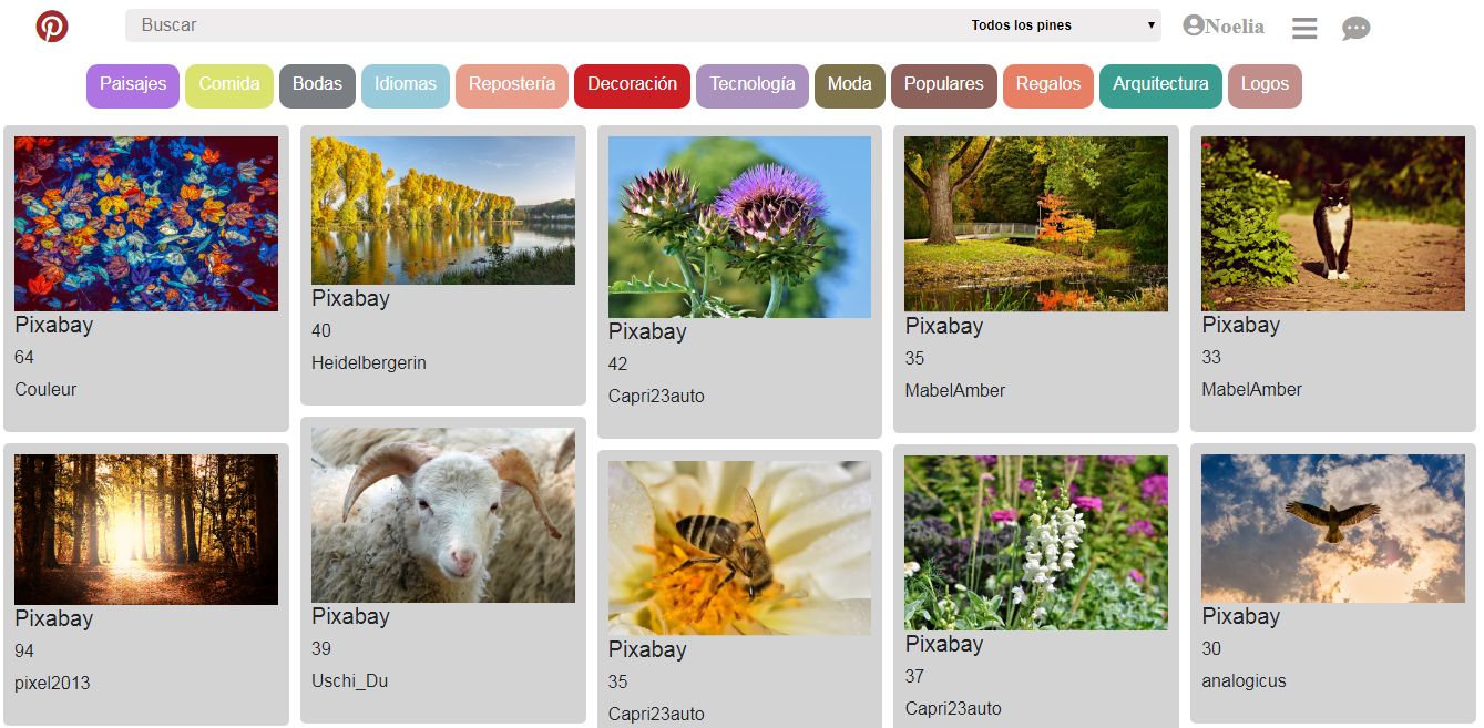 GitHub - noeliasabando/Pinterest-React: El objetivo fue replicar el ...