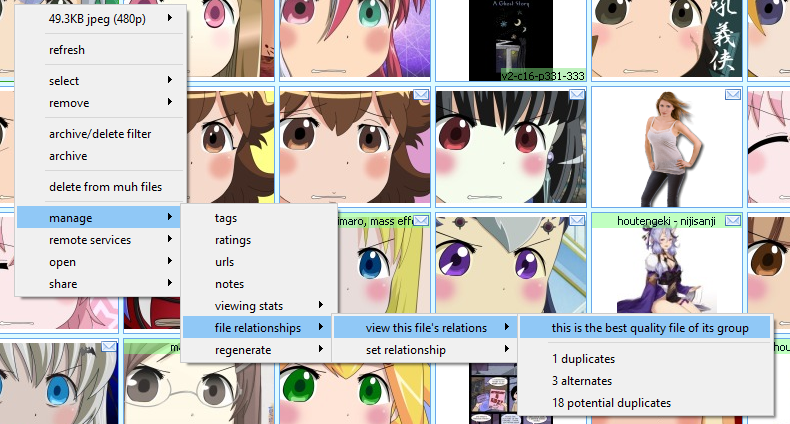 Duplicate filter show some random pairs and must be pixel dupes · Issue #1029 · hydrusnetwork ...