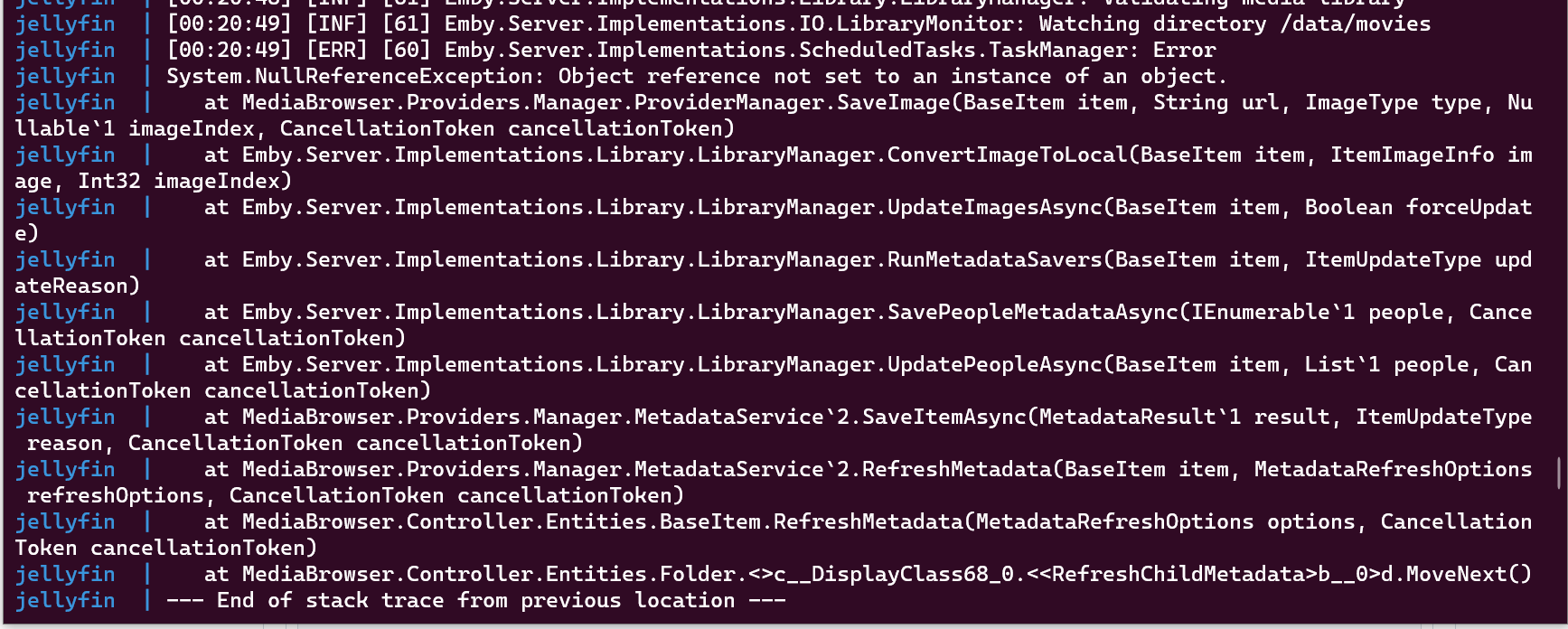 [Issue]: Scan Media Library failed when get invalid image · Issue #9784 · jellyfin/jellyfin · GitHub