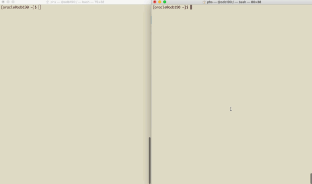 Realtime Reporter Timeout · Issue 955 · Utplsqlutplsql · Github