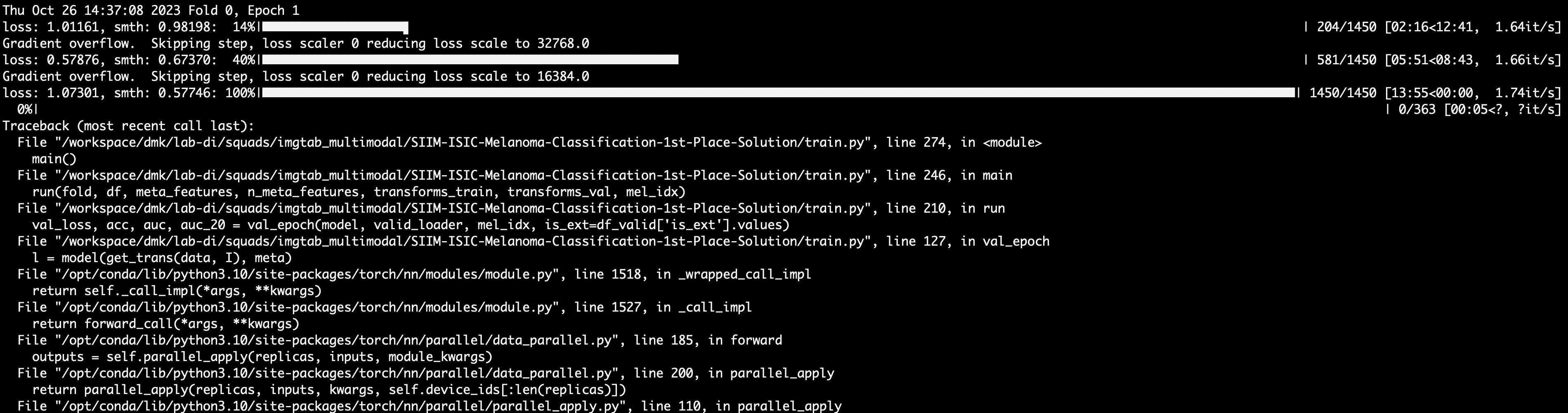 Error Running During Code · Issue 8 · Haqishen Siim Isic Melanoma Classification 1st Place