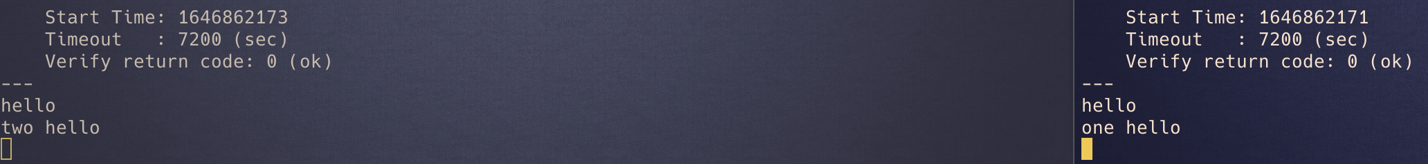 Cant Connect With Tcp Over Tls But Non Tls Tcp Works · Issue 2831 · Fatedierfrp · Github