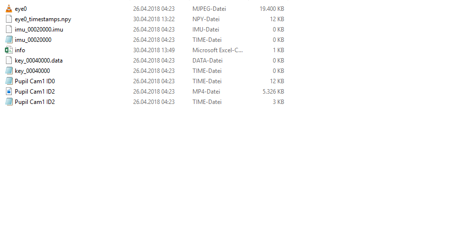 Pupil Player crashes while "updating recording format" · Issue #1169 · pupil-labs/pupil · GitHub