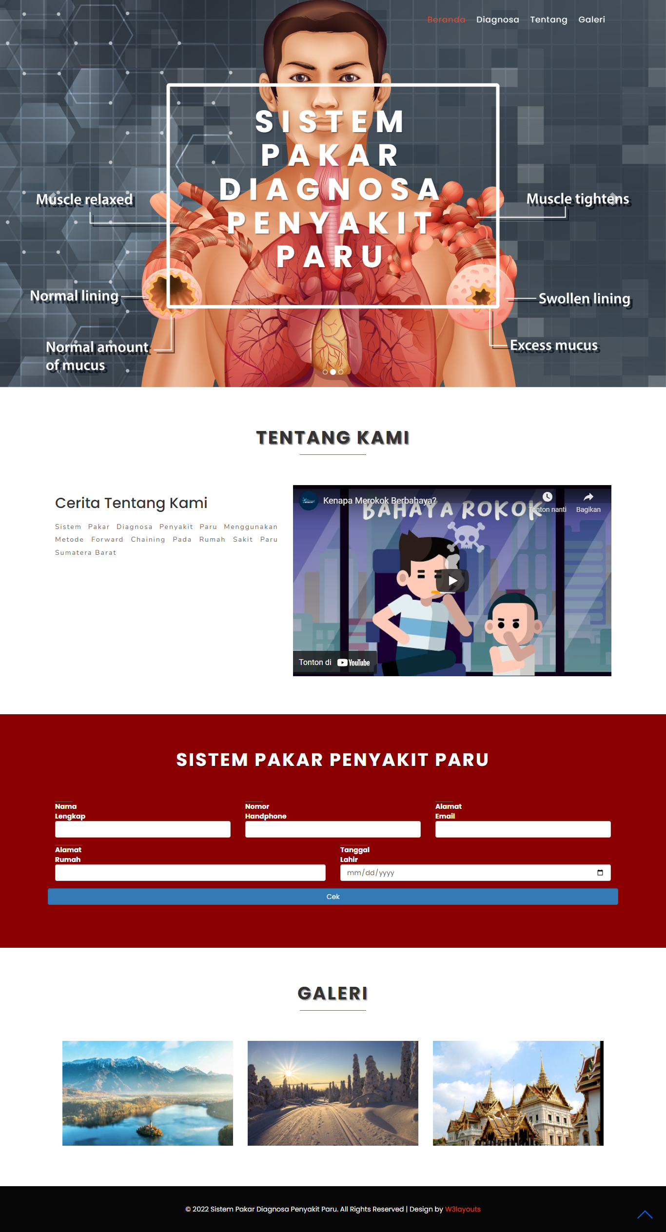 GitHub - ridwanlawson/Sistem-Pakar-Diagnosa-Penyakit-Paru-Expert-System-Lung-Disease-Diagnose ...