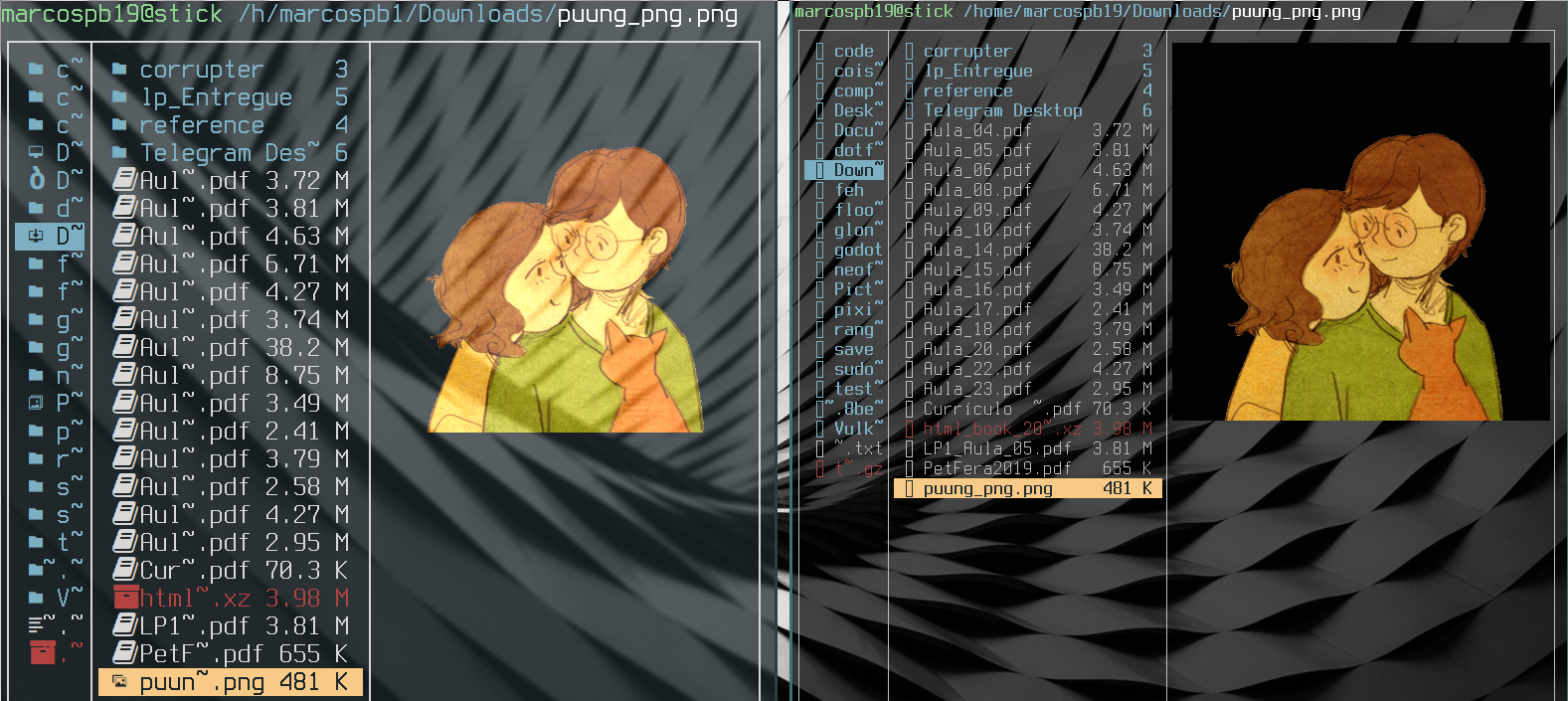 urxvt shows transparent images · Issue #1416 · ranger/ranger · GitHub