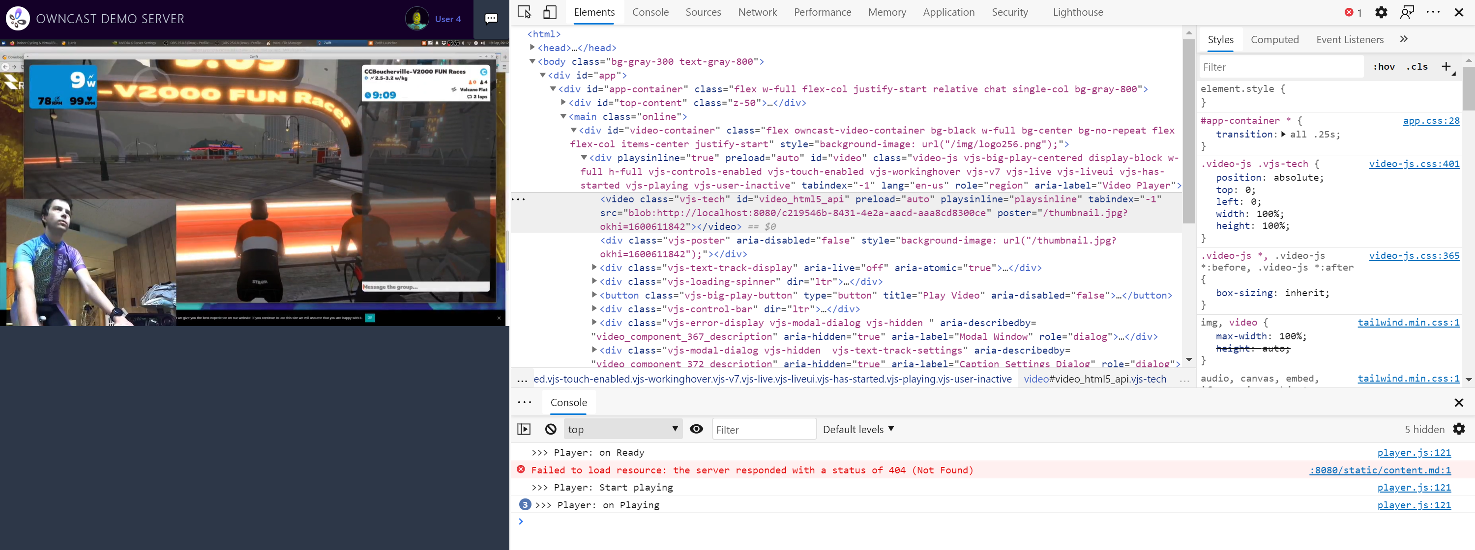 Hiding duplicate video element conflicts with Video Speed Controller ...