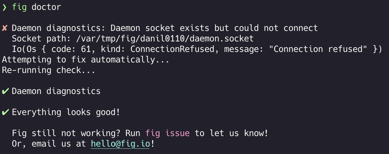 bug: Fig doesn't launch on start with the turned on setting · Issue #2029 · withfig/fig · GitHub