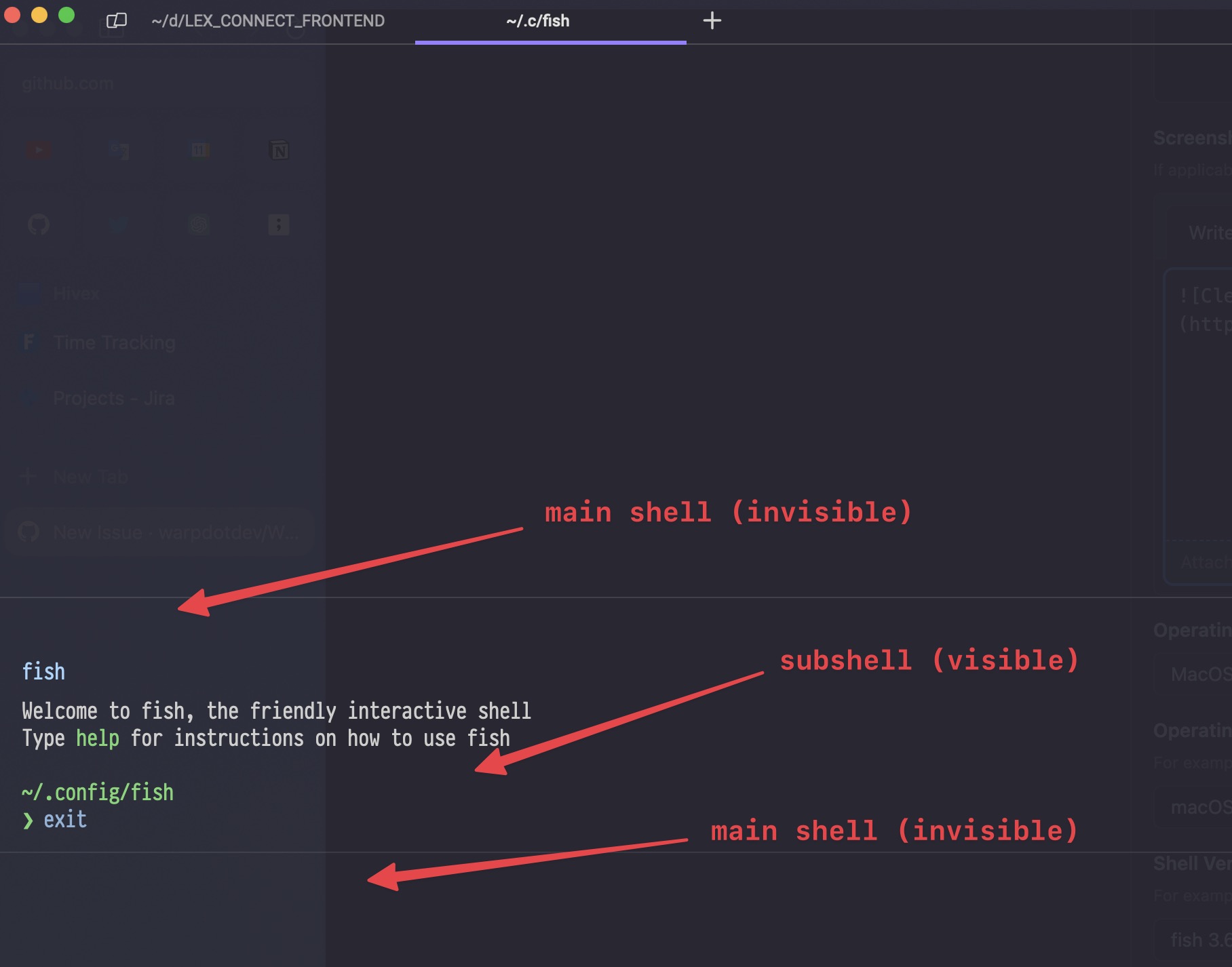 Invisible `Starship` prompt in `Fish` shell · Issue #3362 · warpdotdev/Warp · GitHub