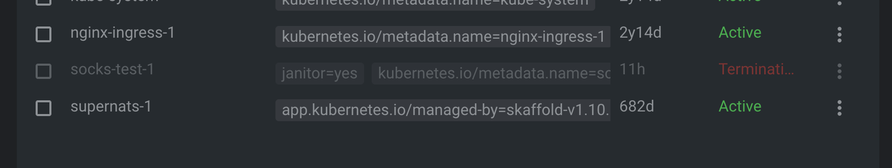 terminating object must not be disabled · Issue #6560 · lensapp/lens · GitHub