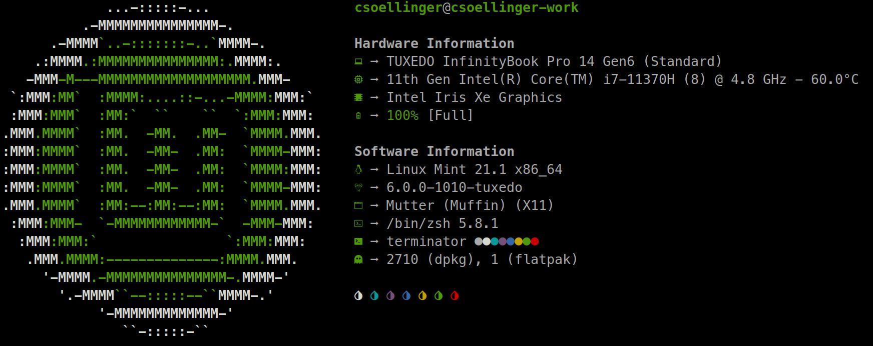 Conditional Format · Issue 409 · Fastfetch Cli Fastfetch · Github