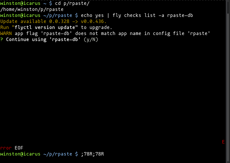 flyctl launch with piped or closed stdin errors and leaves terminal in bad state · Issue #1497 ...