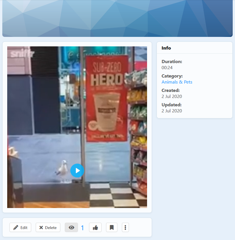 Plyr in Videos: Player's control elements cannot be seen. · Issue #2850 · unacms/una · GitHub