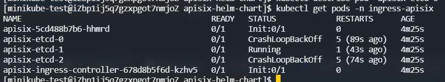 request help: etcd pod CrashLoopBackOff on minikube · Issue #214 · apache/apisix-helm-chart · GitHub