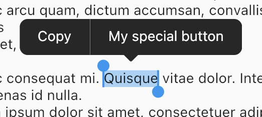 Proposal Simple Custom Text Selection Toolbars · Issue 73574 · Flutterflutter · Github