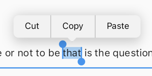 Flutter Framework Team: Notable Commits · Issue #121415 · flutter/flutter · GitHub