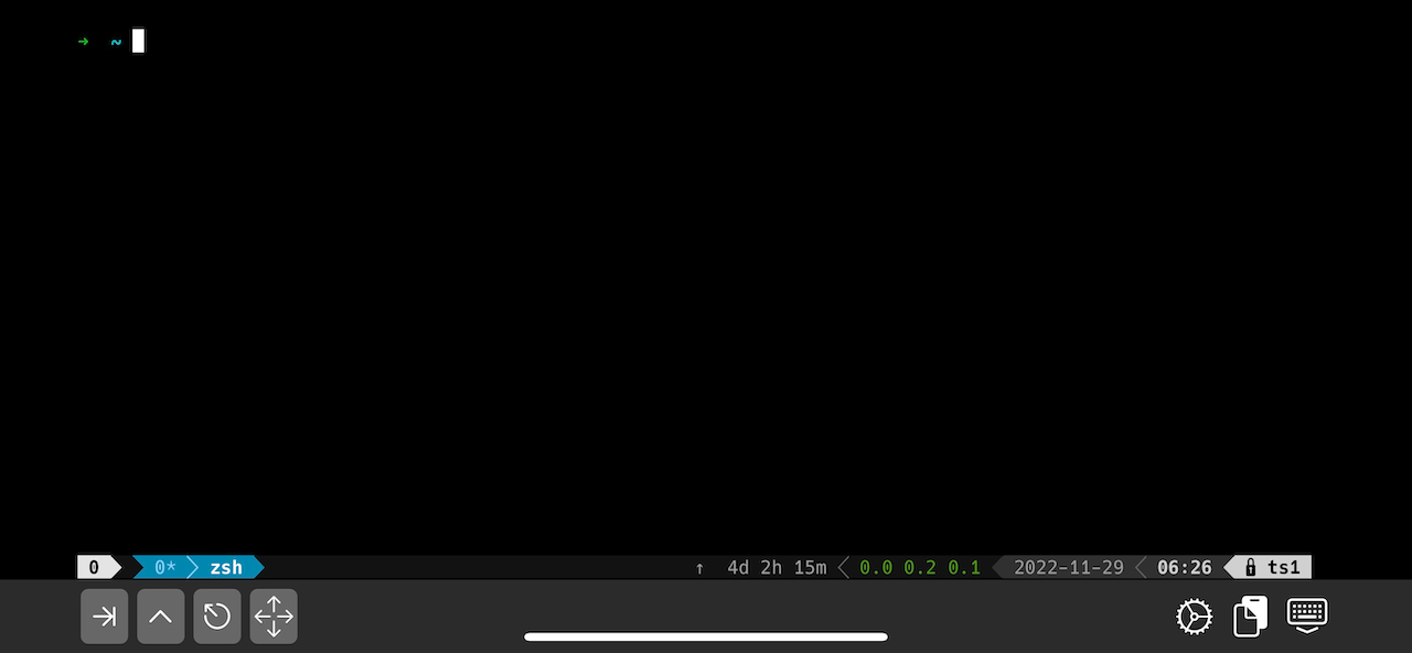 Hide the interaction at the bottom · Issue #1190 · ish-app/ish · GitHub