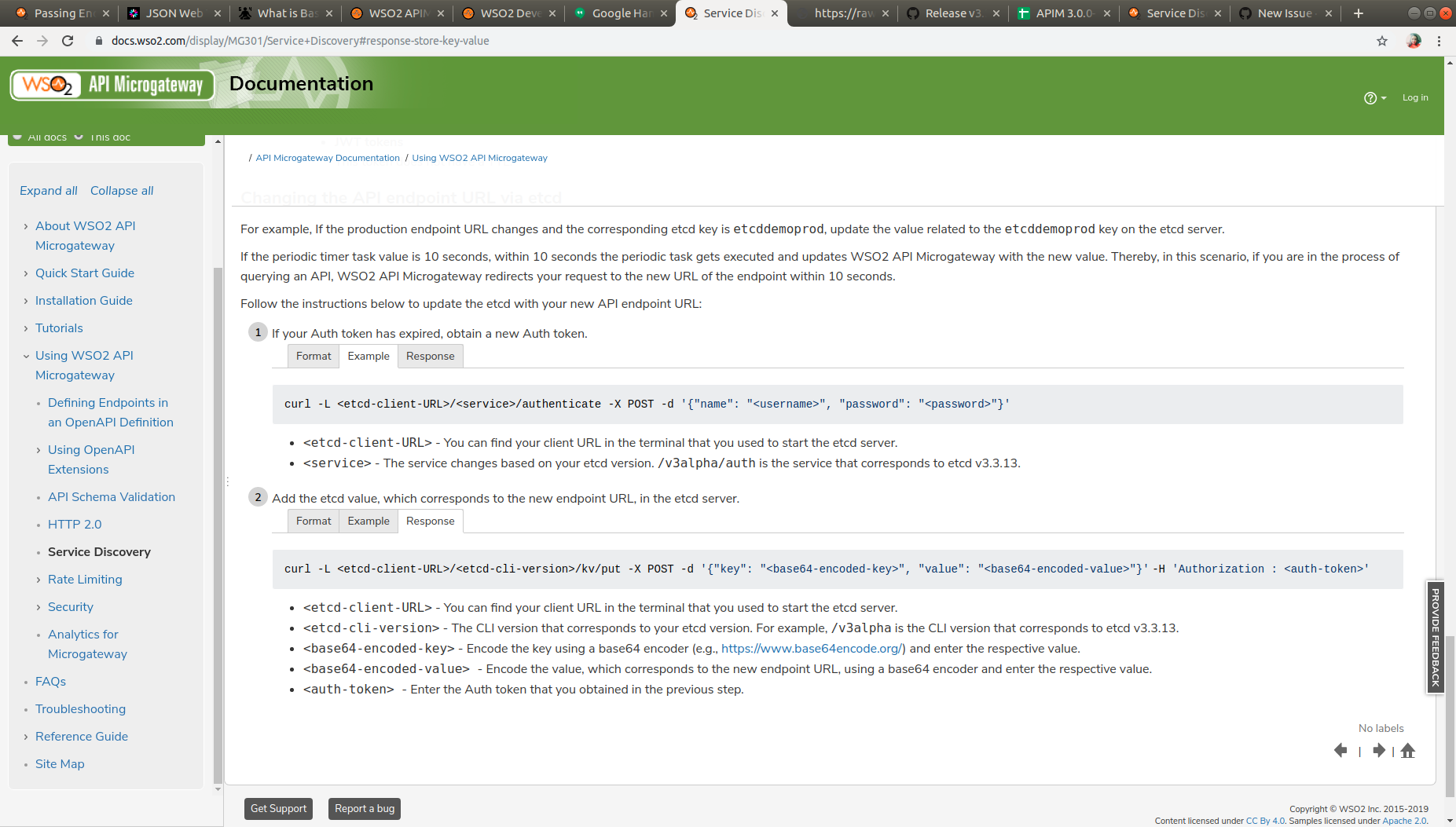 Error in Example Tab and Response Tab of the documentation regarding the "Changing the API ...