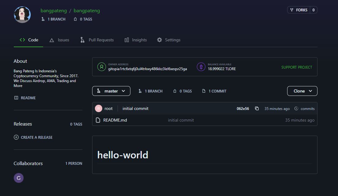 GitHub - DiscoverMyself/create-repository-via-remote: sebvah tutor