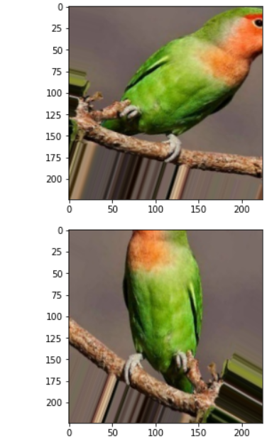 GitHub - DTegano/ImageRecognition-KaggleBirds: Convolutional Neural ...