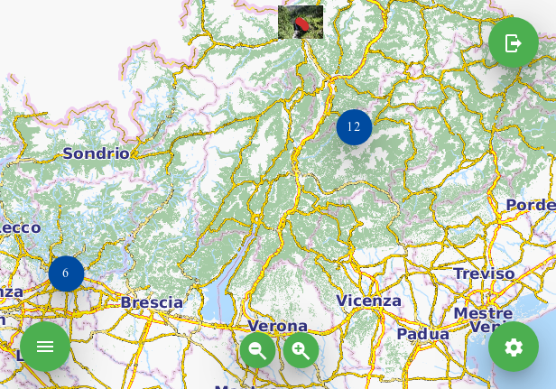 [web] disappearing bits when loading PolylineLayerOptions · Issue #446 · fleaflet/flutter_map ...