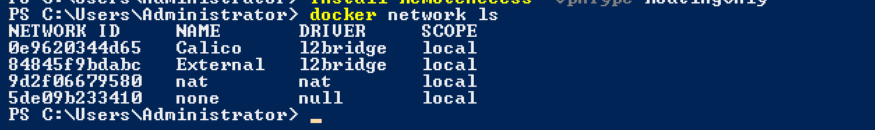 Windows Pod cannot access external network · Issue #5762 · projectcalico/calico · GitHub