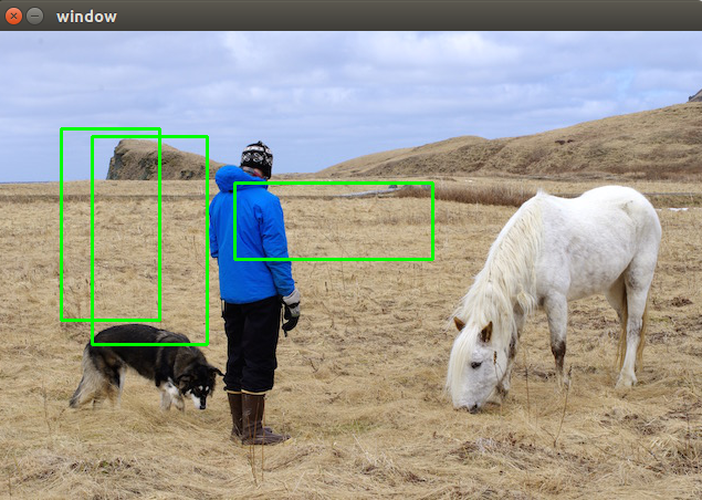 Saving image using python wrapper · Issue #243 · pjreddie/darknet · GitHub