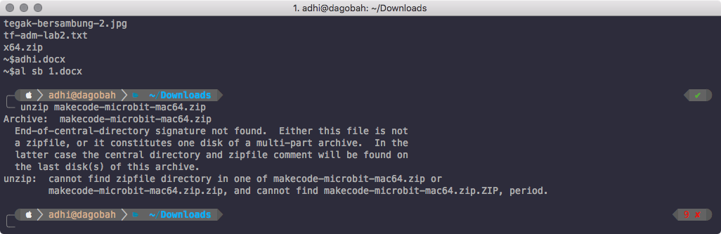 Cant Extractedexpand Makecode Offline Version For Mac · Issue 3876 · Microsoftpxt Microbit