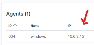 Agents are wrongly reporting IPv6 as the primary IP · Issue #3611 · wazuh/wazuh-qa · GitHub