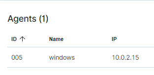 Agents are wrongly reporting IPv6 as the primary IP · Issue #3611 · wazuh/wazuh-qa · GitHub