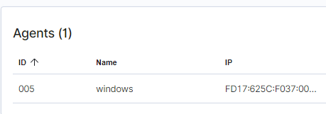 Agents are wrongly reporting IPv6 as the primary IP · Issue #3611 · wazuh/wazuh-qa · GitHub