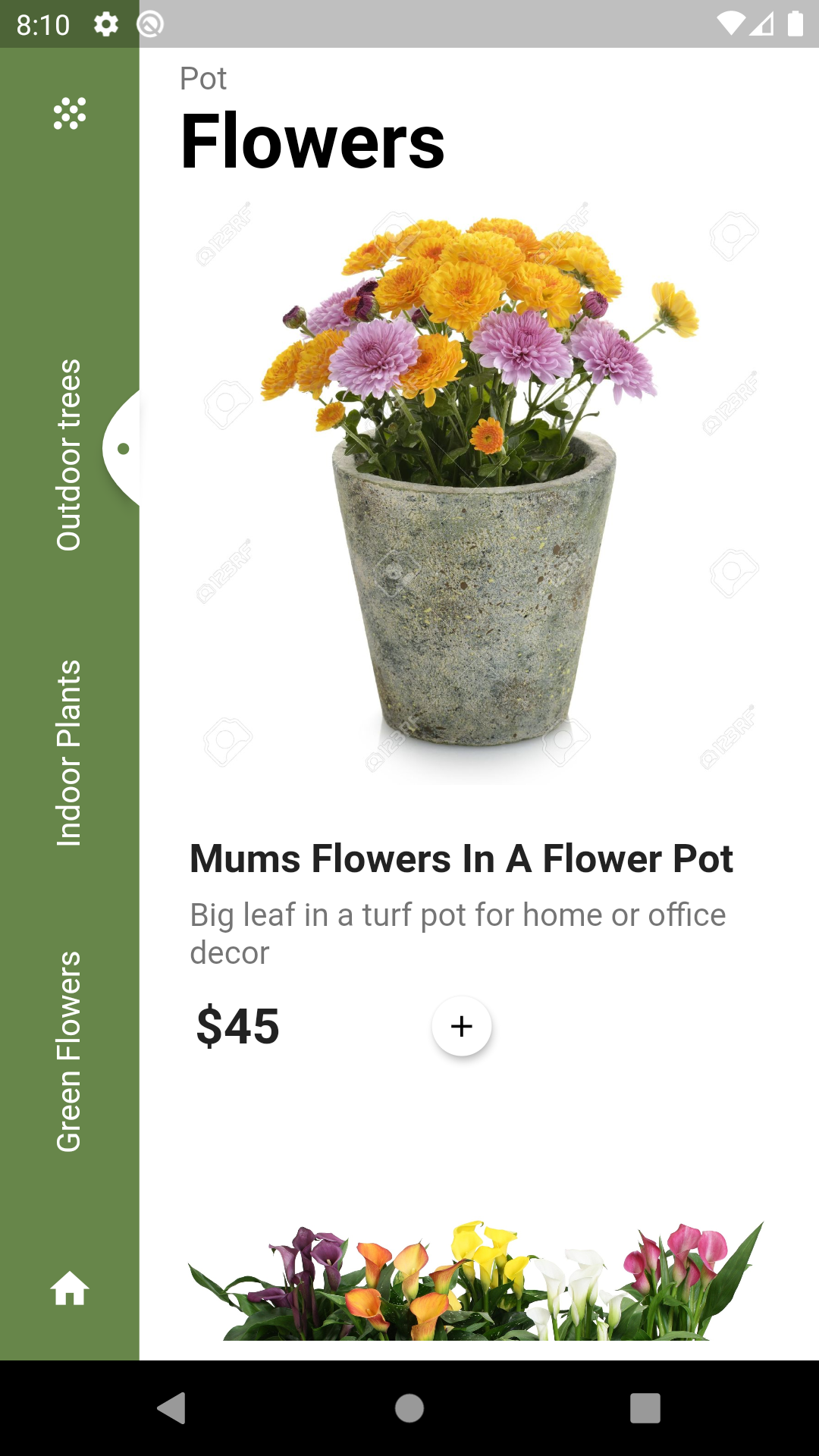 GitHub - nacuta/Green_Plants_App