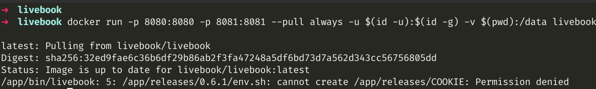 Permission denied on docker startup, when using --user flag · Issue #1192 · livebook-dev ...