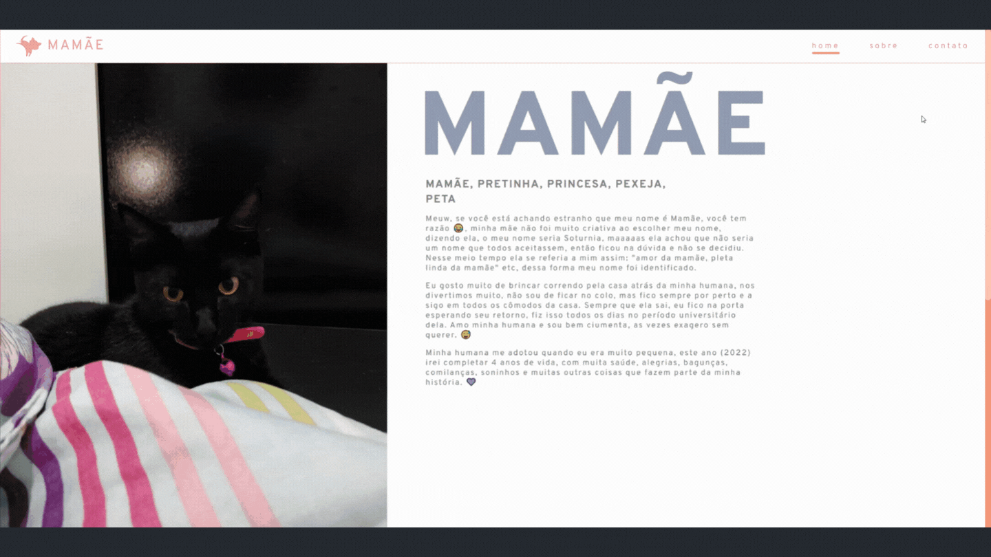 Github Mariliceandrade Projeto Meusgatinhos