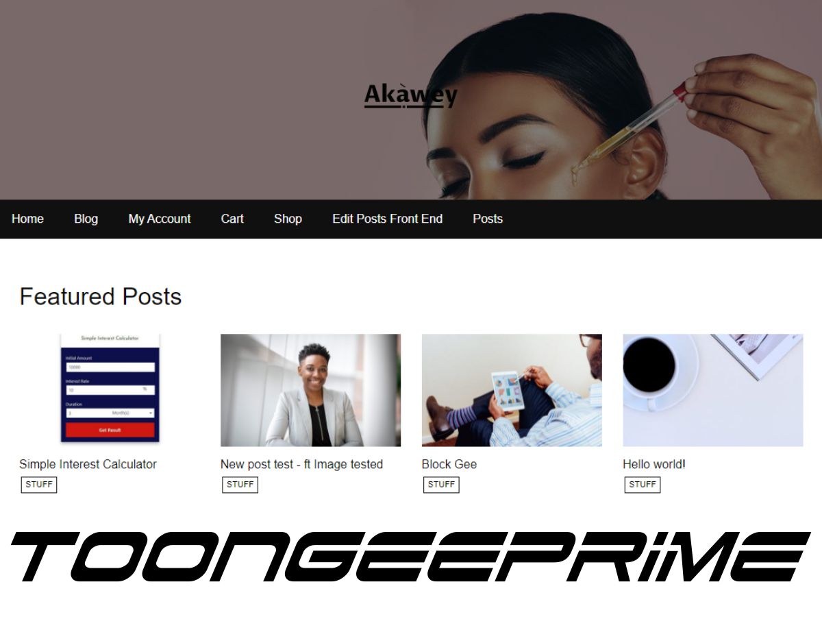 GitHub - toongeeprime/toongeeprime-theme: A WordPress Theme