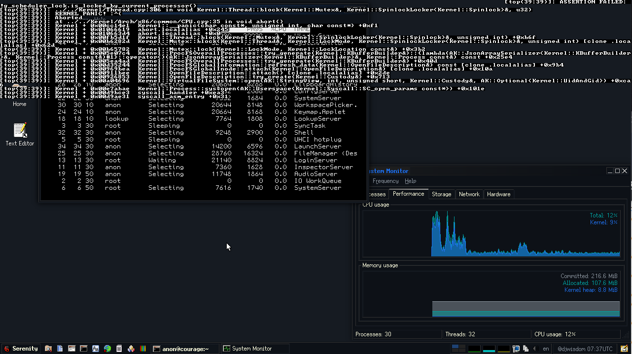 [top(81:81)]: KERNEL PANIC! :^( · Issue #13737 · SerenityOS/serenity · GitHub