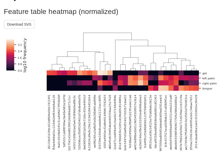 Bug Heatmap Dimensions Are Distorted · Issue 164 · Qiime2 Q2 Sample Classifier · Github