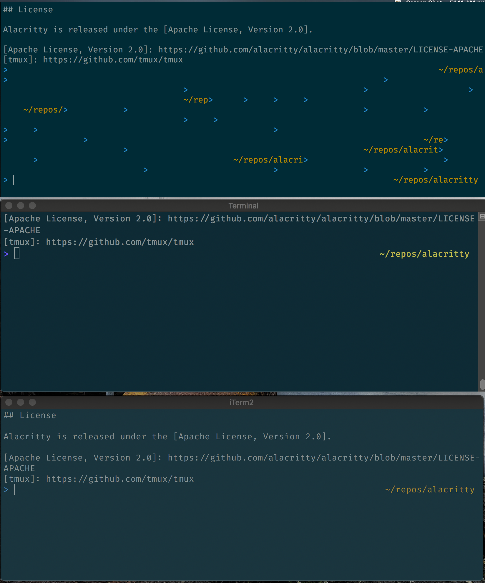 Previous content doesn't properly resize · Issue #3815 · alacritty/alacritty · GitHub