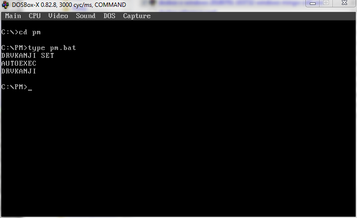 DOS V Emulation Issue 100 Joncampbell123 dosbox x GitHub