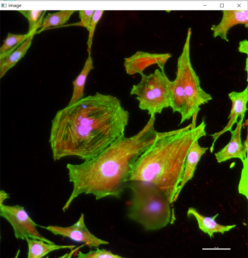 GitHub - DaShenZi721/Cell-Aspect-Ratio