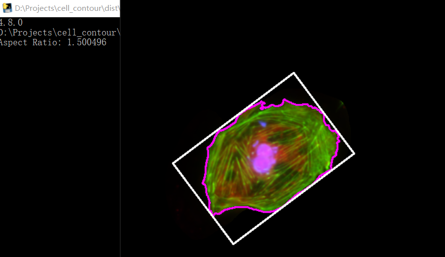 GitHub - DaShenZi721/Cell-Aspect-Ratio