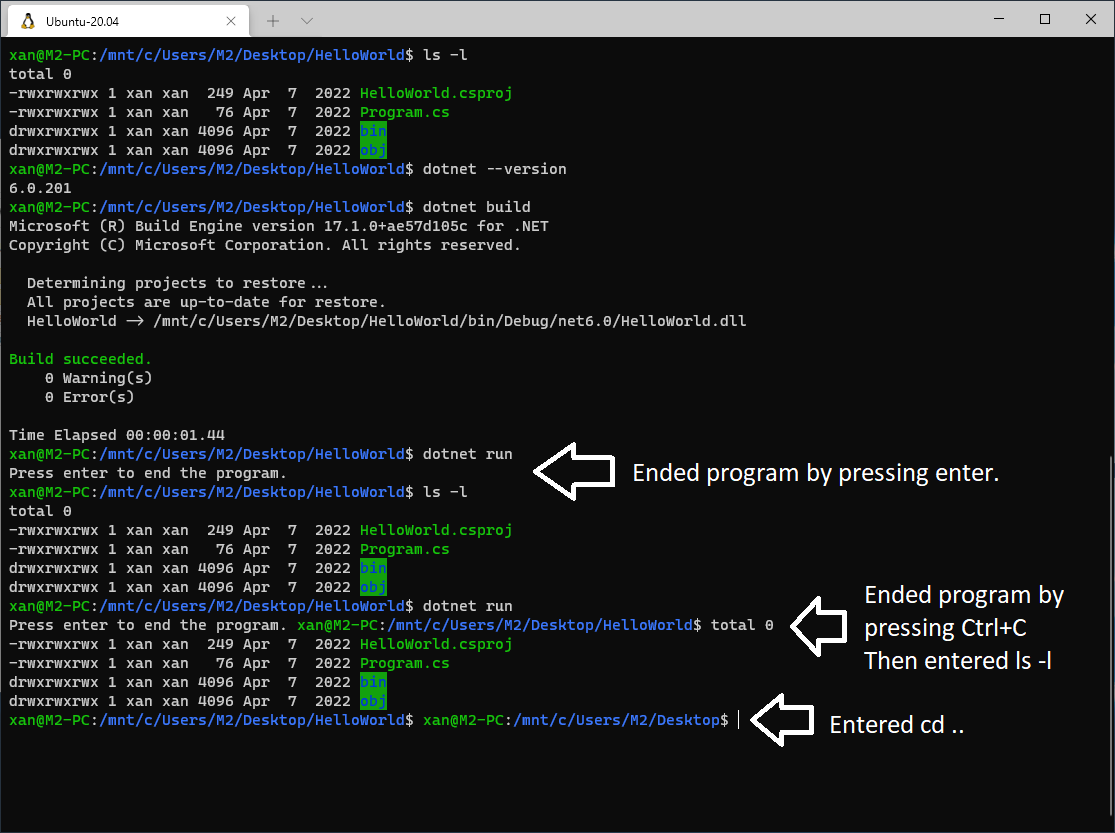 Linux and Mac OSX terminal input is not rendered after `Ctrl+C` is used to terminate `dotnet run ...