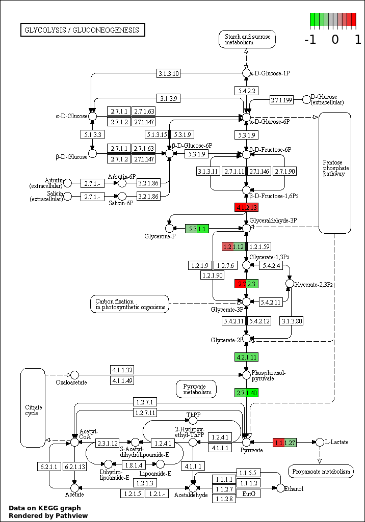 KEGG pathview visualization · Issue #115 · vloux/ProteoRE · GitHub