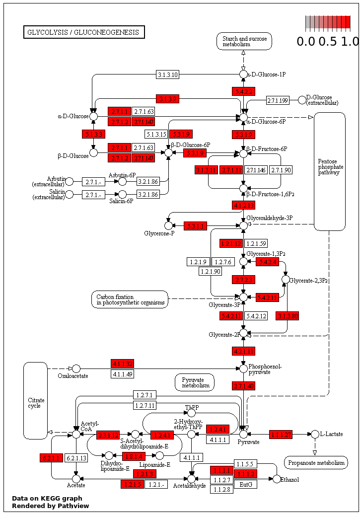KEGG pathview visualization · Issue #115 · vloux/ProteoRE · GitHub