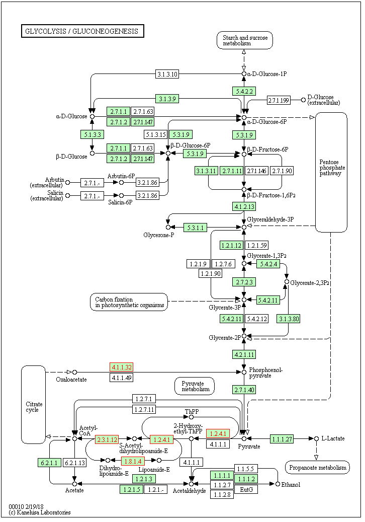 KEGG pathview visualization · Issue #115 · vloux/ProteoRE · GitHub