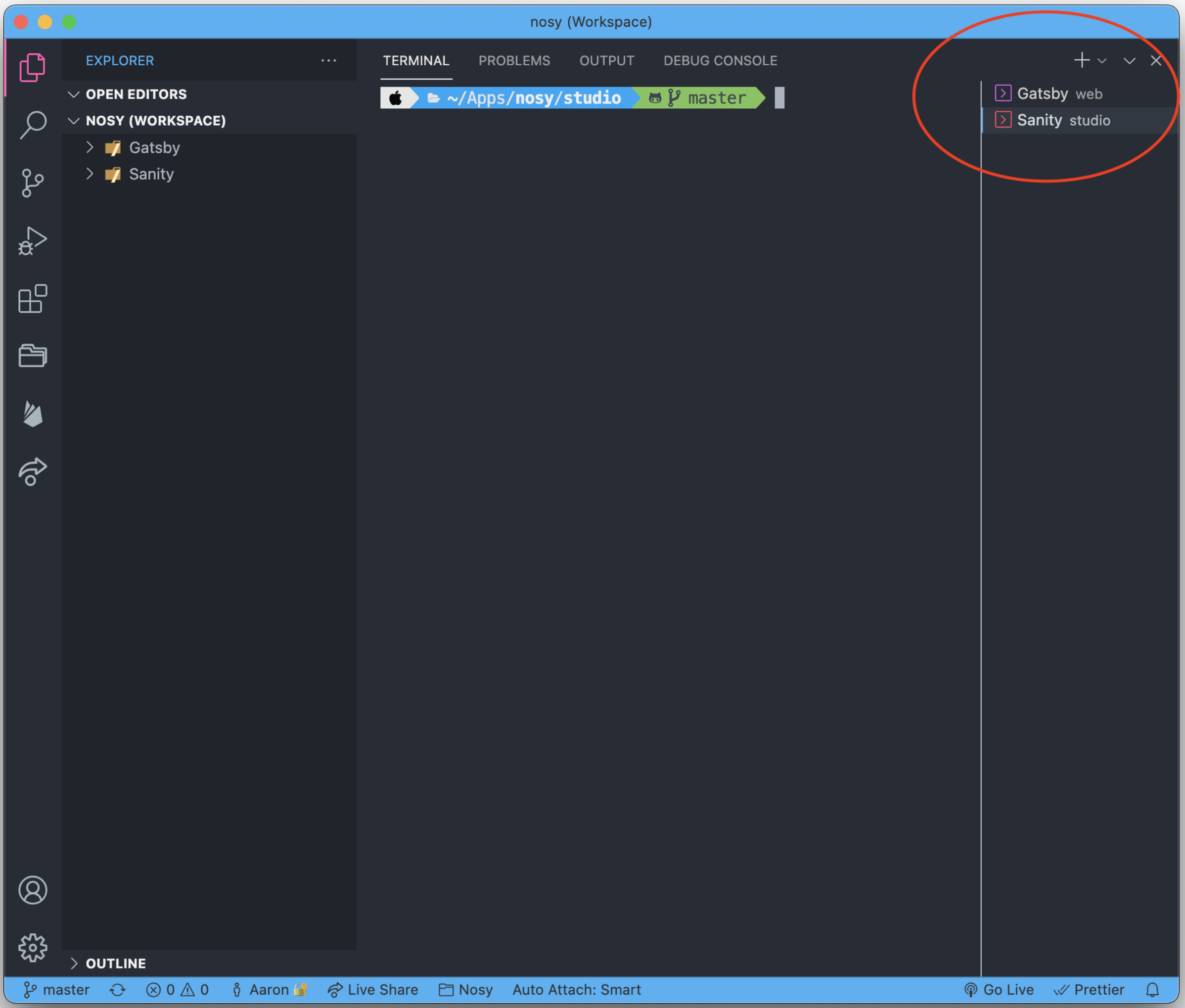 Workspace - Integrated Terminal Tab Defaults? · Issue #135296 ...