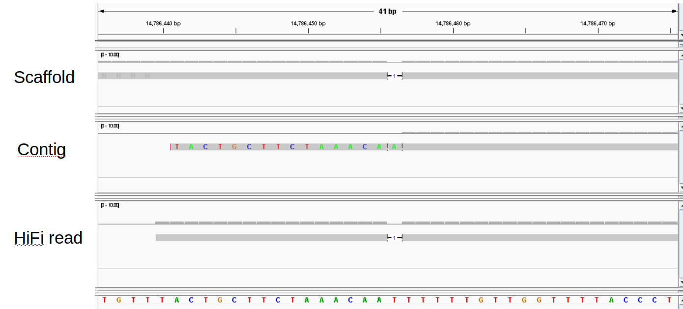 Soft-Clipping of Deletion · Issue #1082 · lh3/minimap2 · GitHub