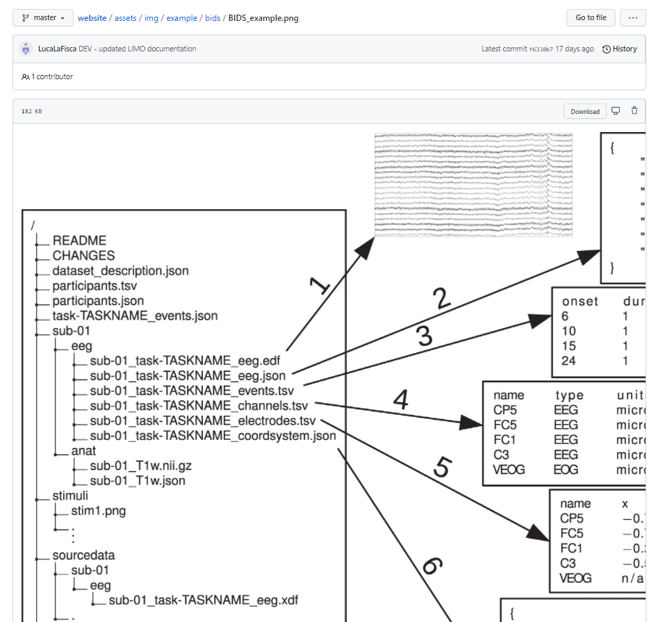 BIDS example image is broken · Issue #456 · fieldtrip/website · GitHub