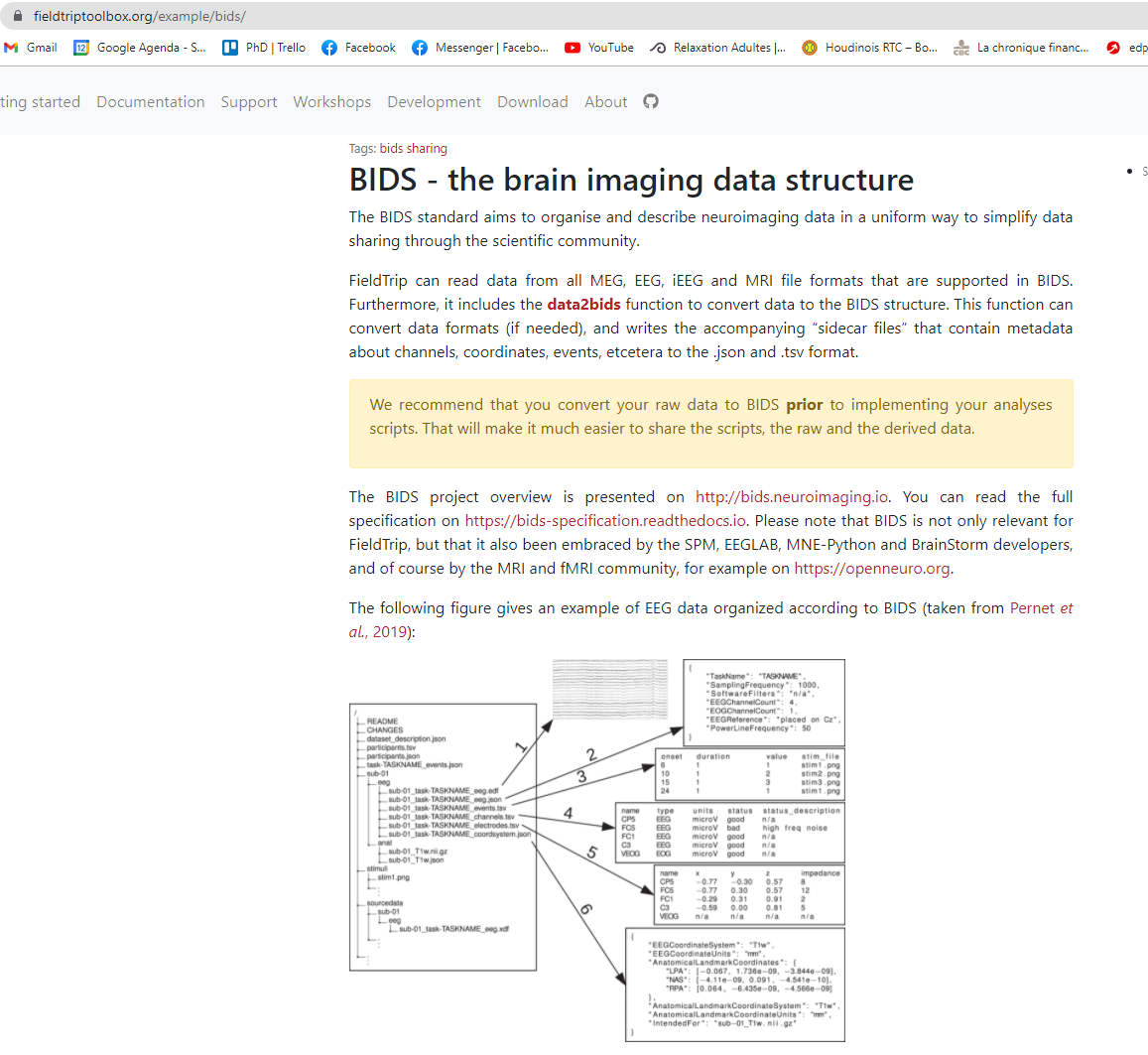 BIDS example image is broken · Issue #456 · fieldtrip/website · GitHub